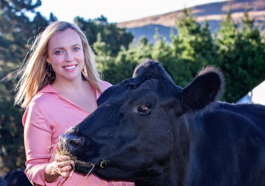 All About Amanda King Photography | By The Horns – By the horns