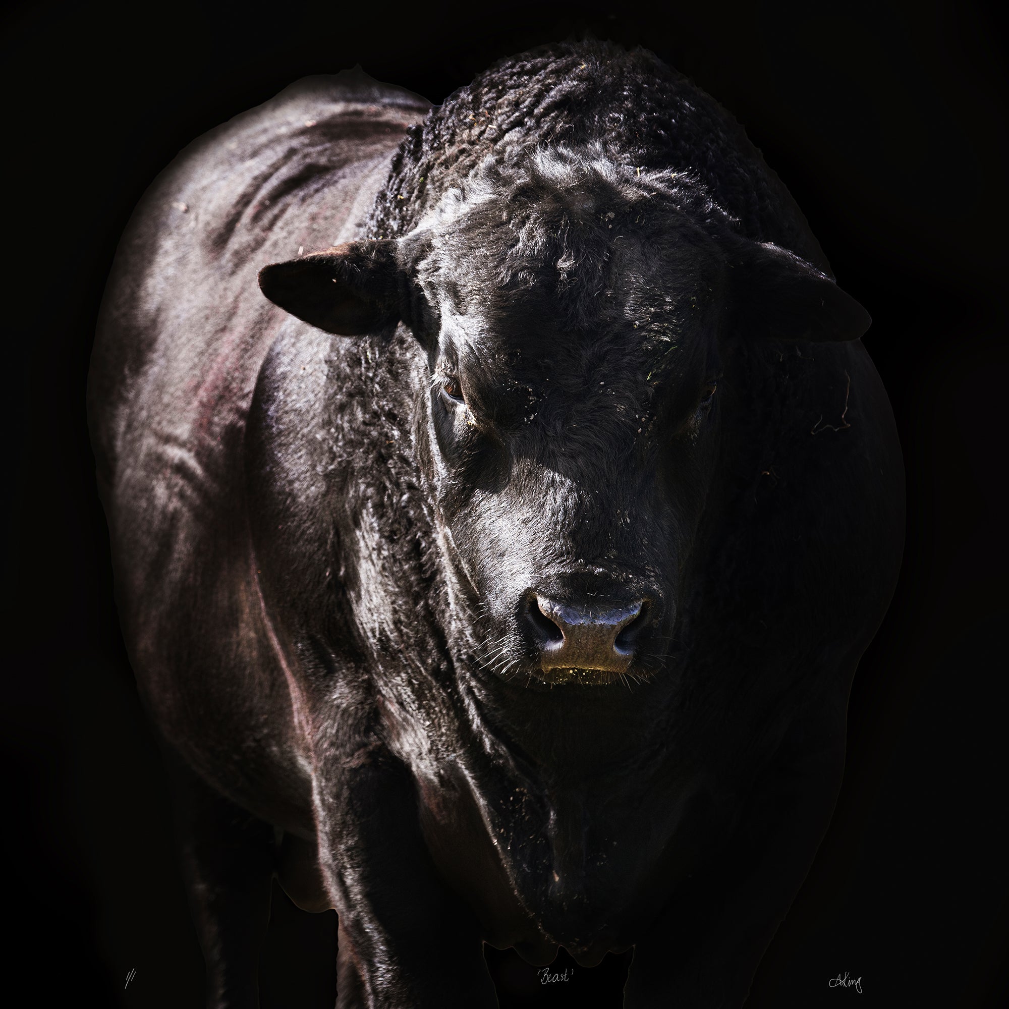 Beast – By the horns