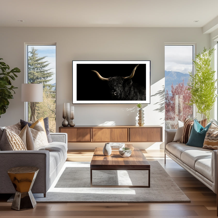 Samsung Frame TV Digital Download – By the horns