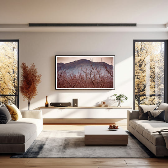 Samsung Frame TV Digital Download – By the horns