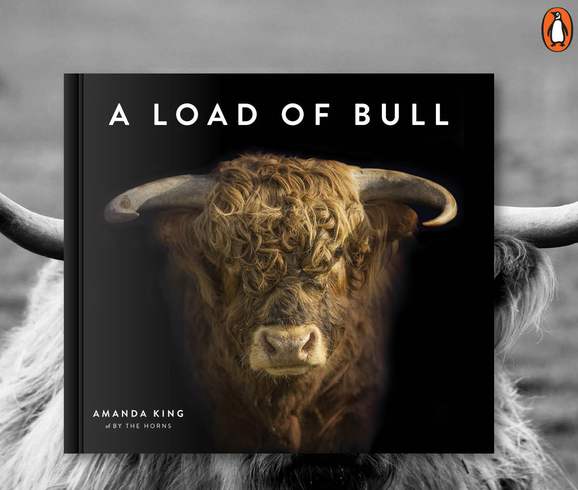 A Load Of Bull – By the horns